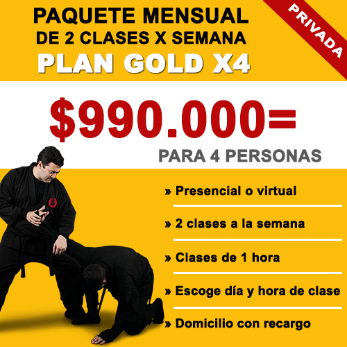 Plan GOLD X4 - Artes Marciales - ARNOBY SINAM