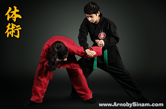 NINPÔ TAI JUTSU - Artes Marciales - ARNOBY SINAM